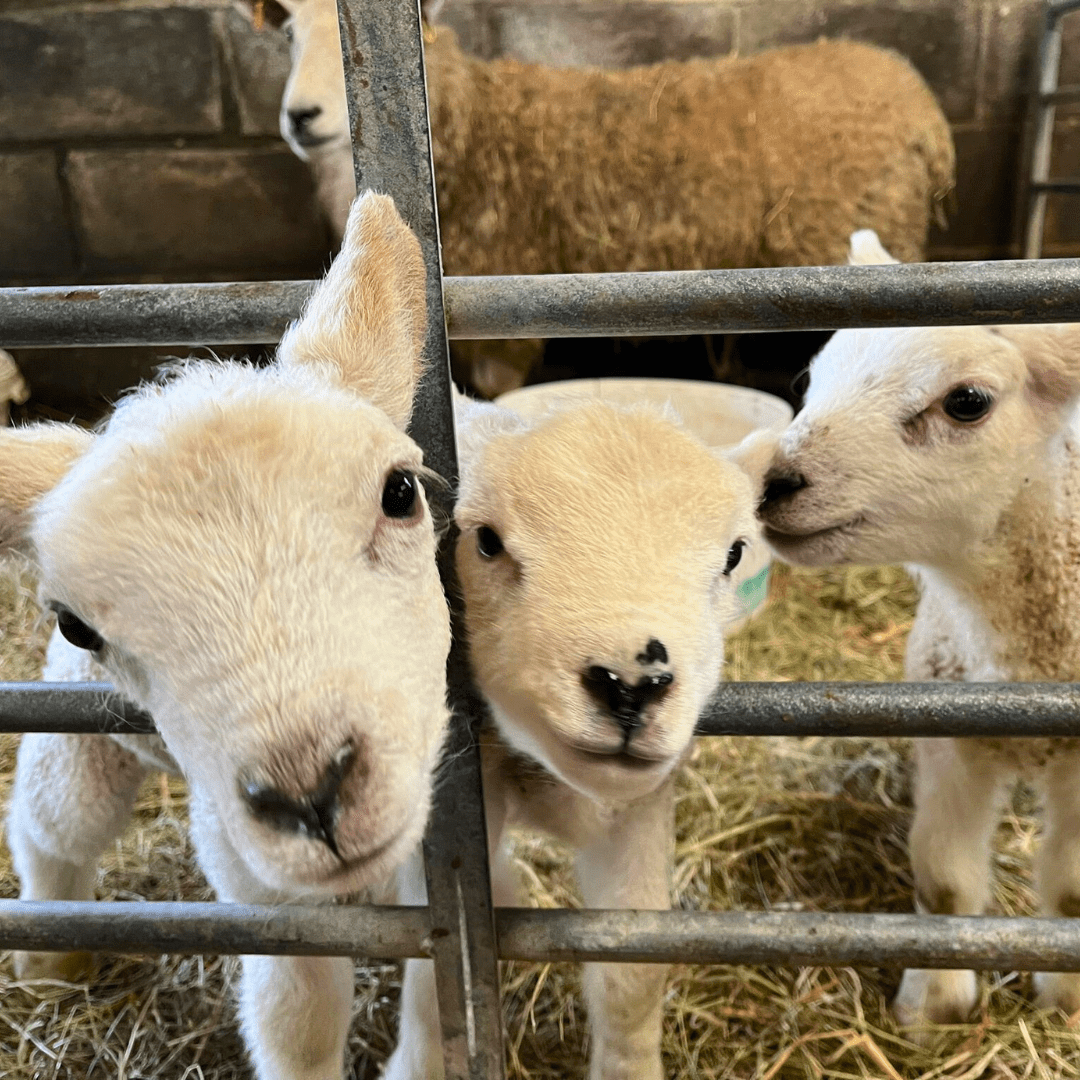 What are some of the key tasks involved in preparing and managing ...