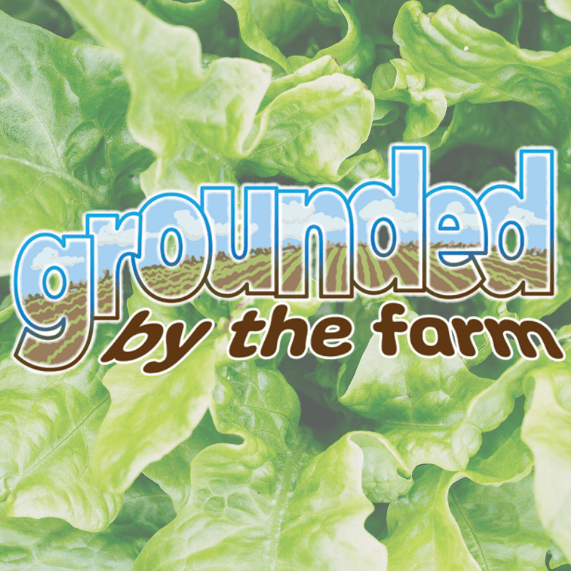 URL of original content if applicable: https://groundedbythefarm.com ...